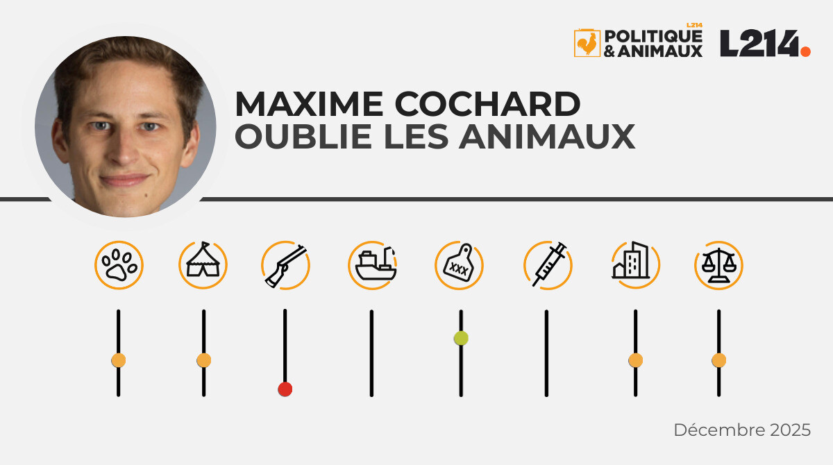 Maxime Cochard - Politique & Animaux
