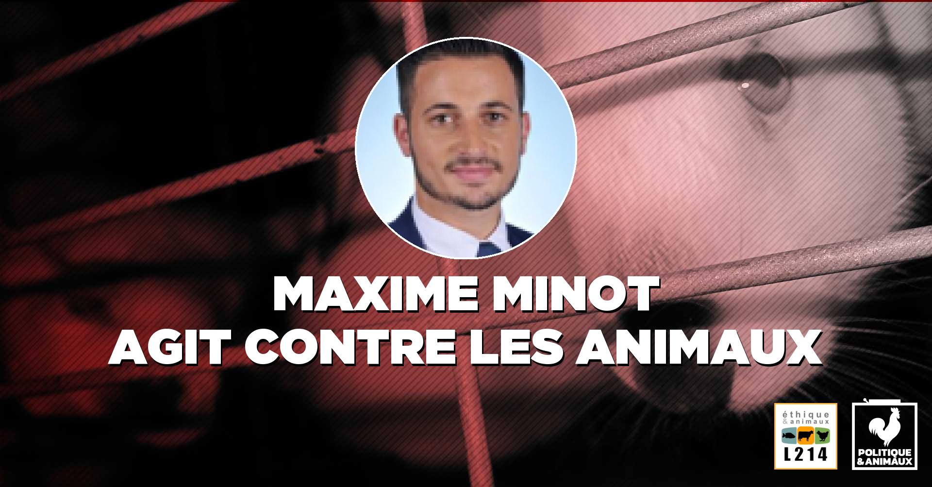 Maxime Minot - Politique & animaux