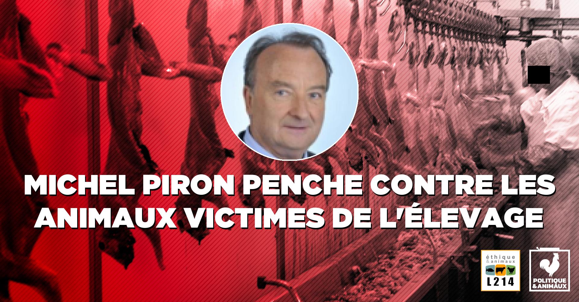 Élevage : Michel Piron - Politique & animaux