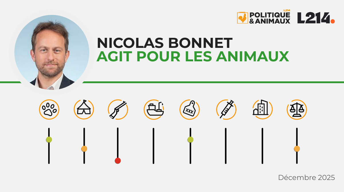 Nicolas Bonnet - Politique & Animaux