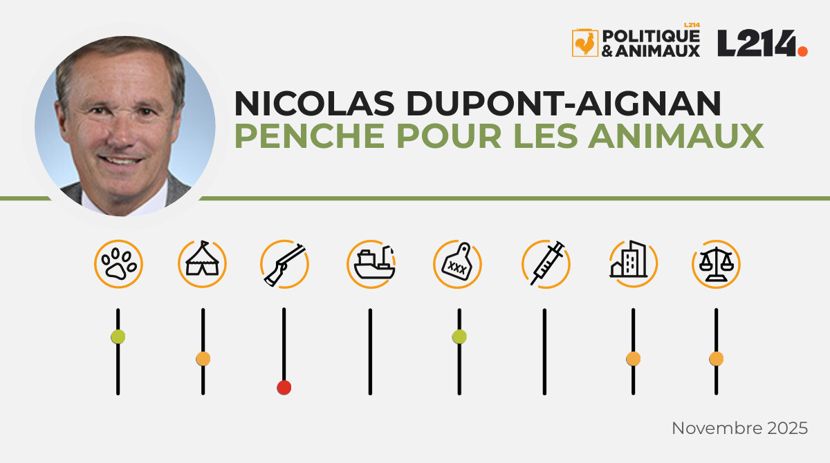 Nicolas Dupont-Aignan - Politique & Animaux
