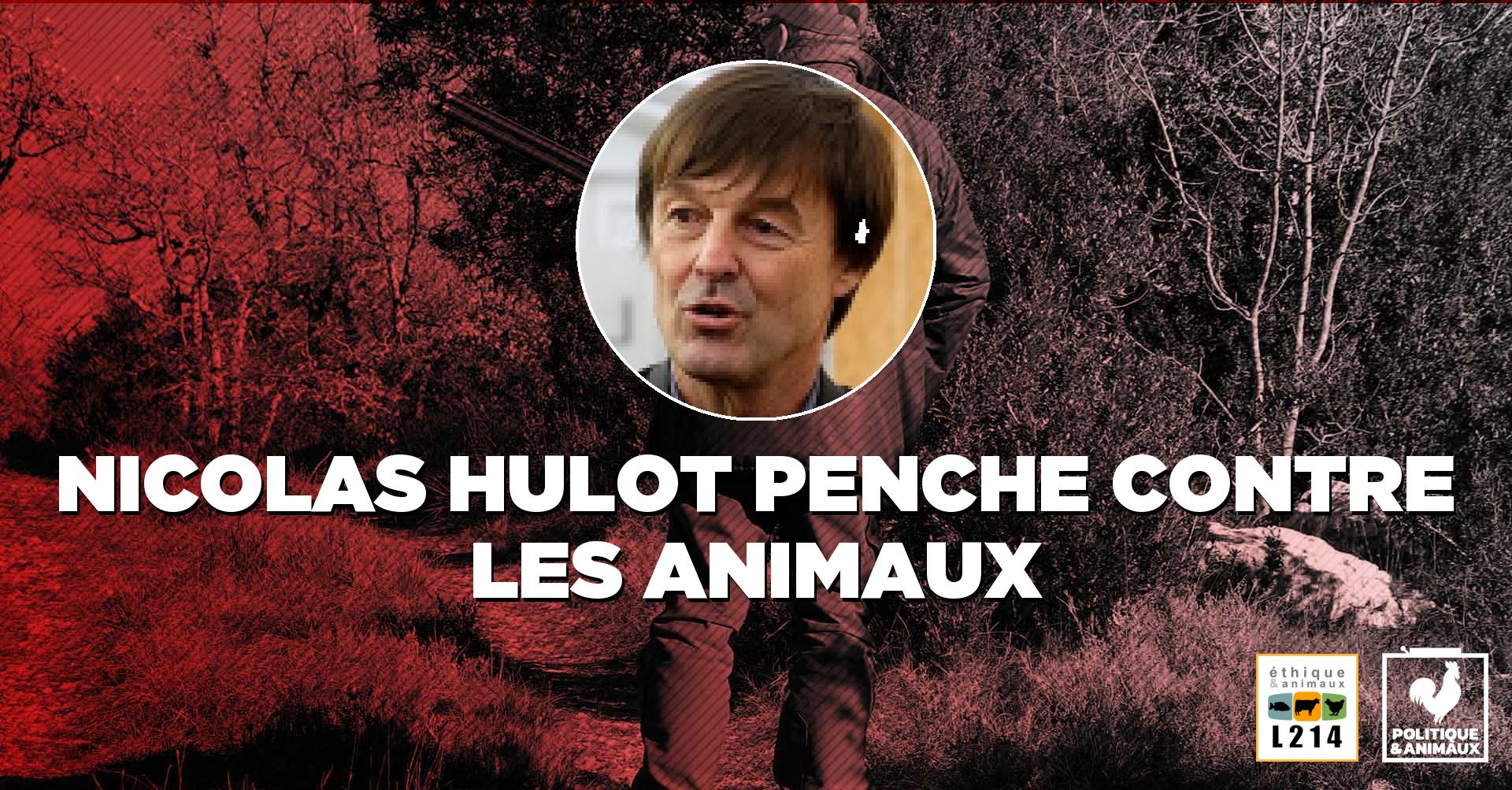 Nicolas Hulot - Politique & animaux