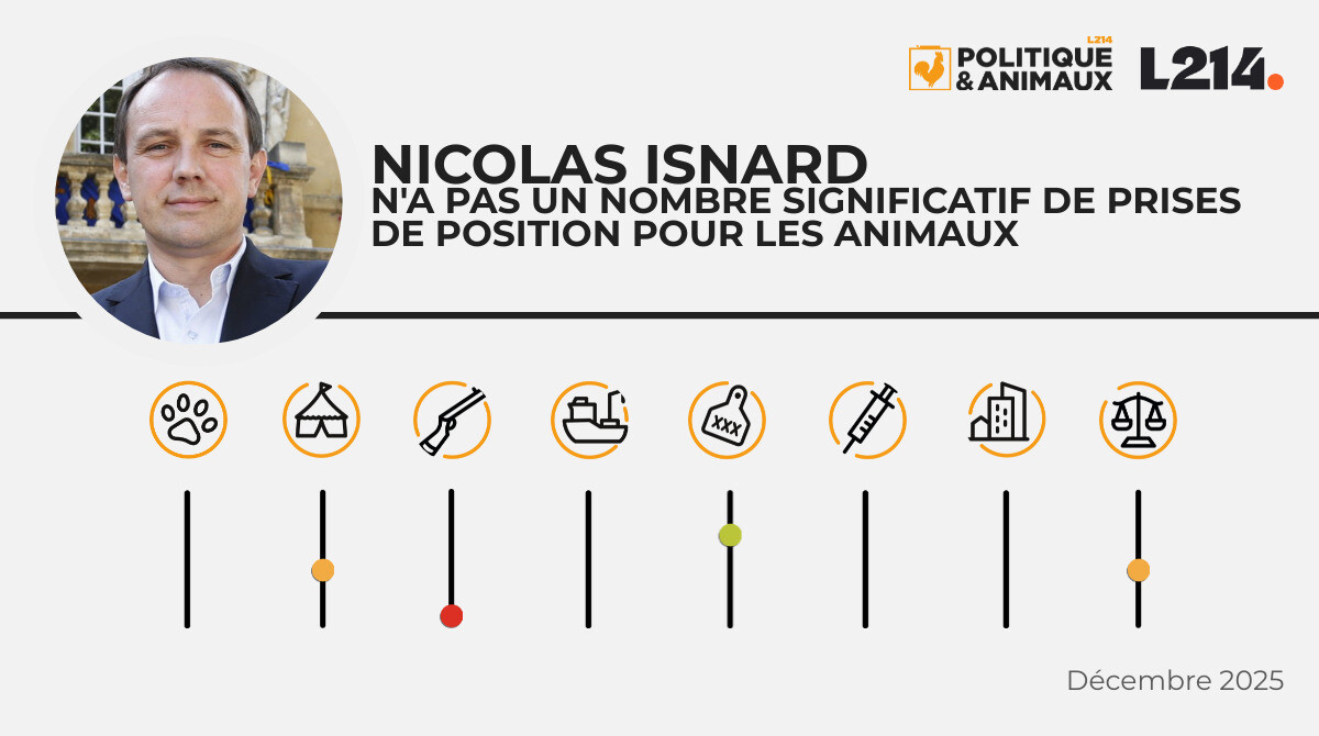 Nicolas Isnard - Politique & Animaux
