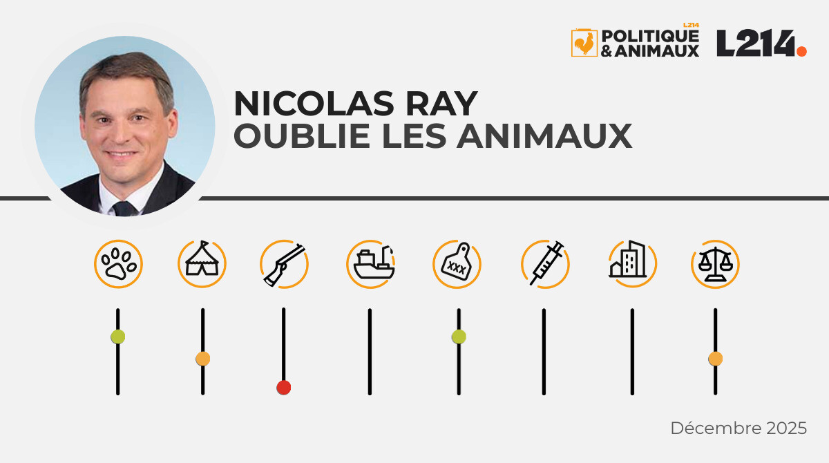 Nicolas Ray - Politique & Animaux