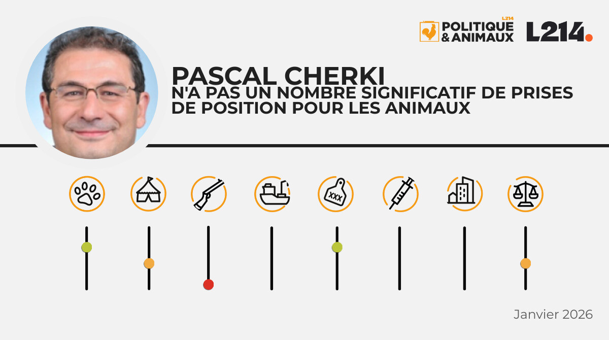 Pascal Cherki - Politique & Animaux