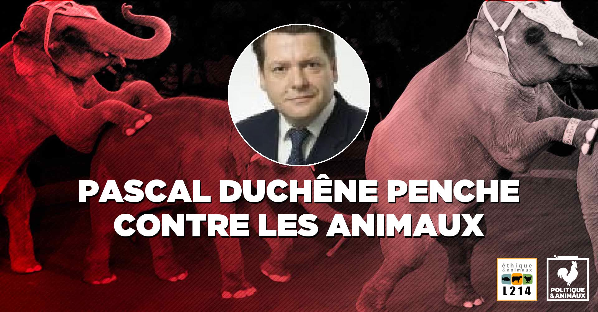Pascal Duchêne - Politique & animaux