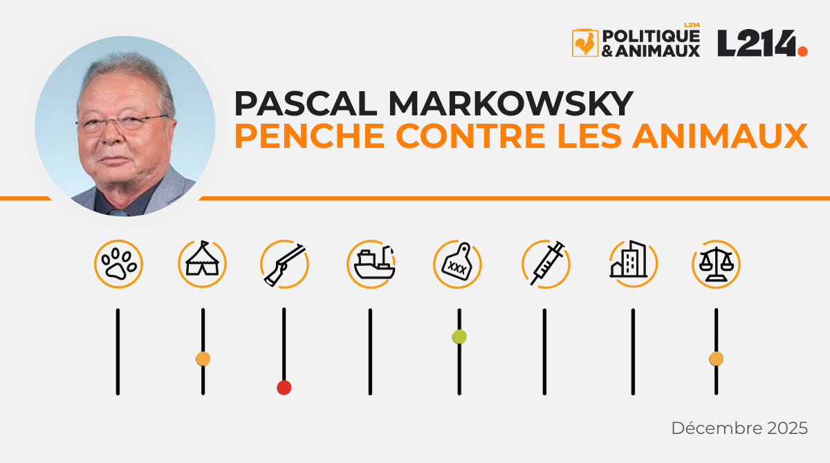 Pascal Markowsky - Politique & Animaux