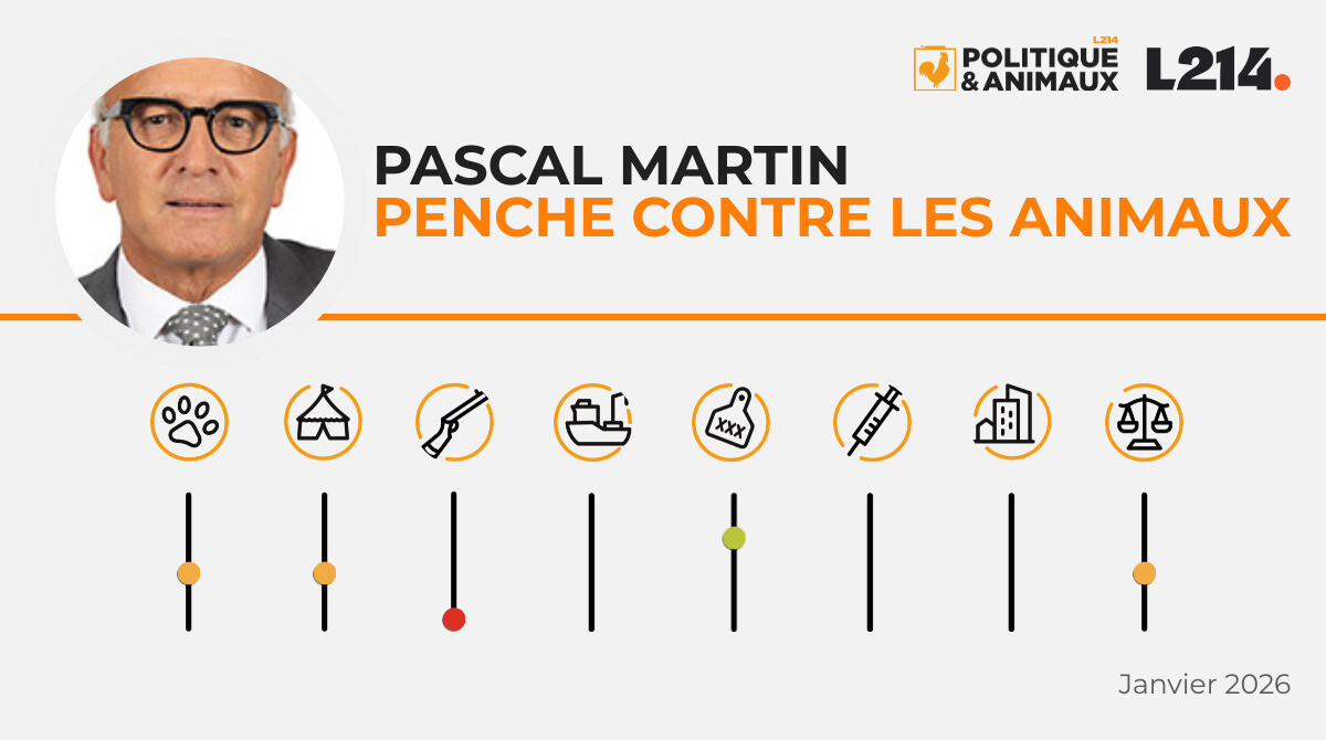 Pascal Martin - Politique & Animaux