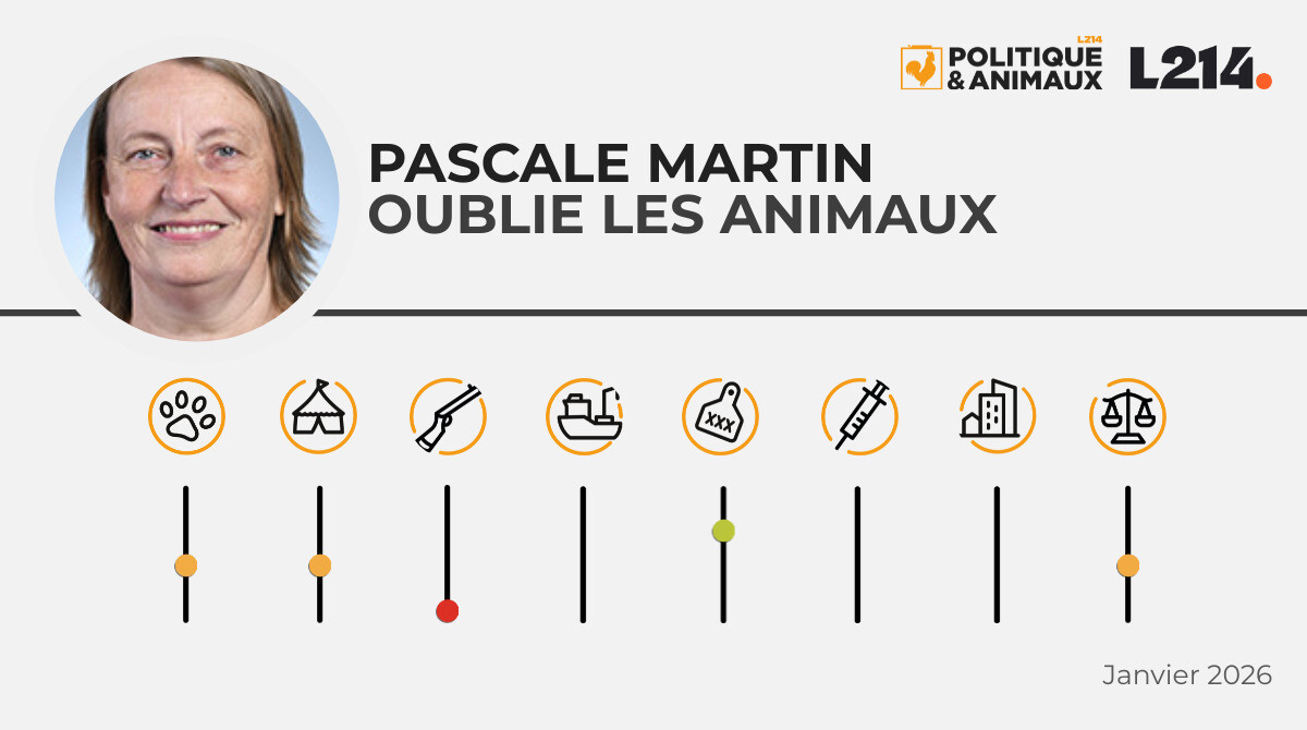 Pascale Martin - Politique & Animaux