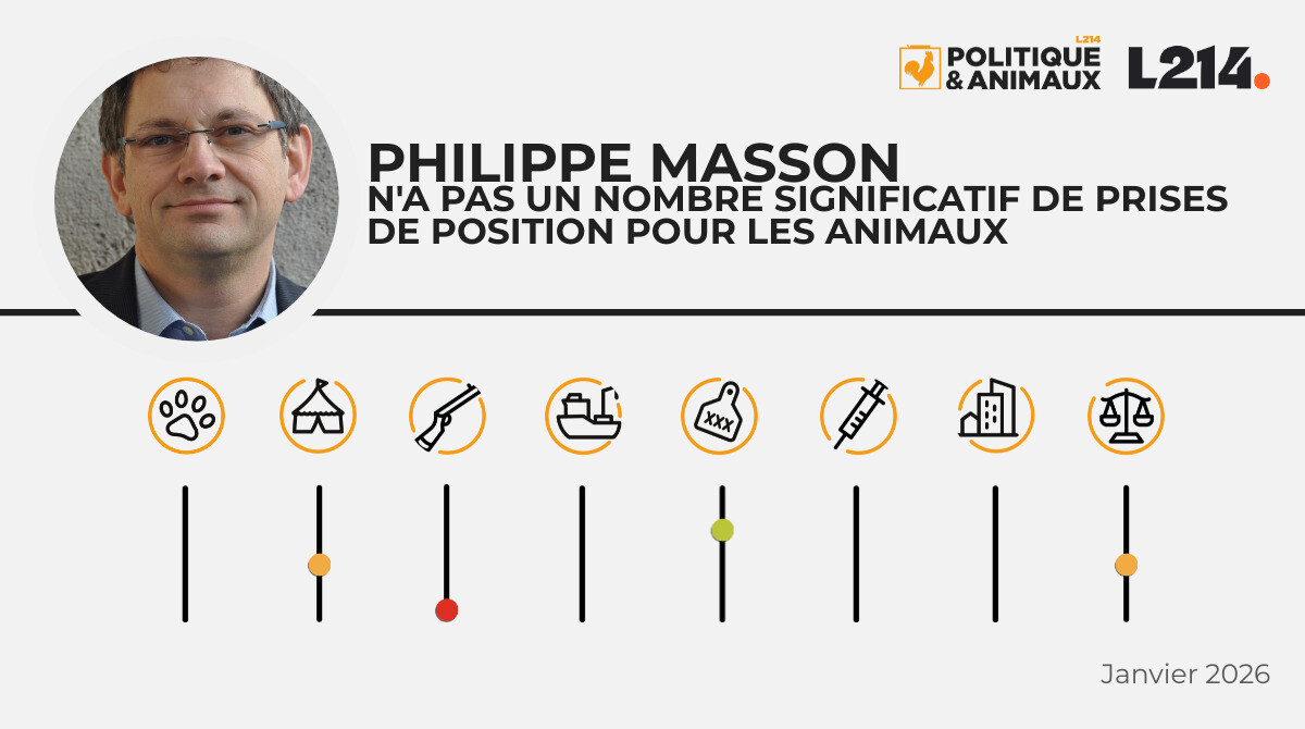 Philippe Masson - Politique & Animaux