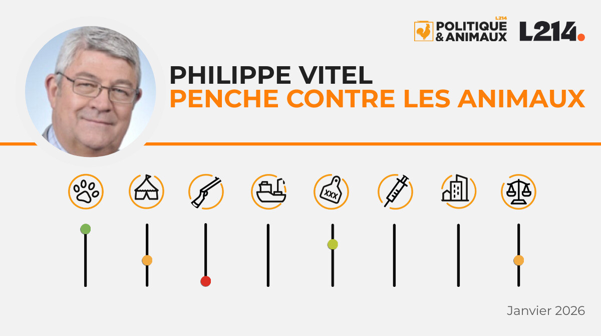 Philippe Vitel - Politique & Animaux