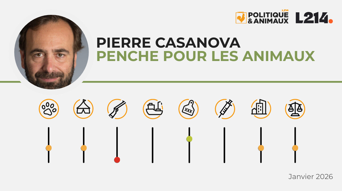 Pierre Casanova - Politique & Animaux