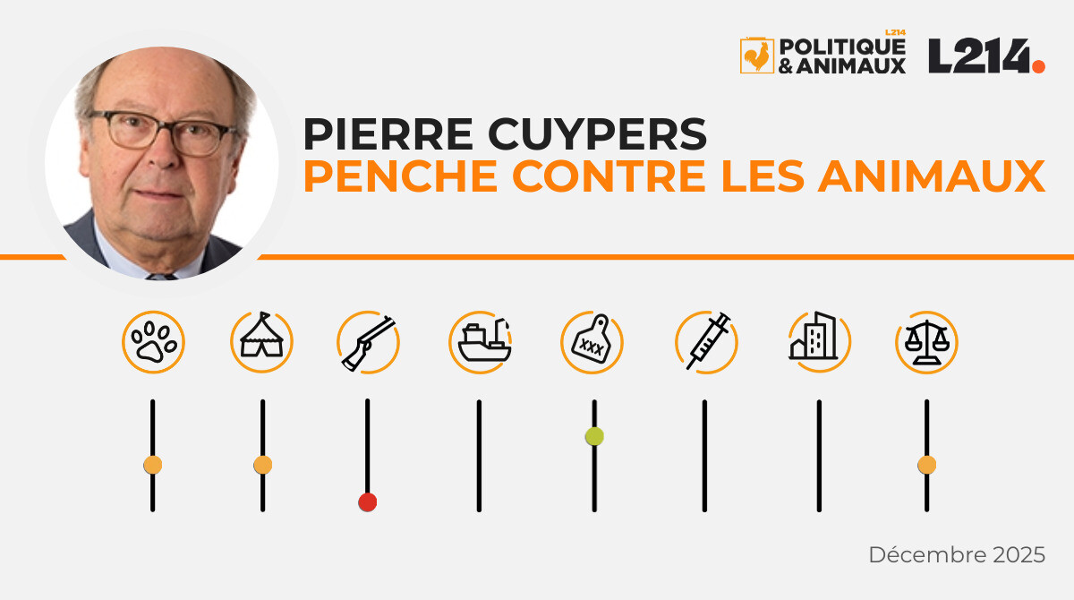 Pierre Cuypers - Politique & Animaux