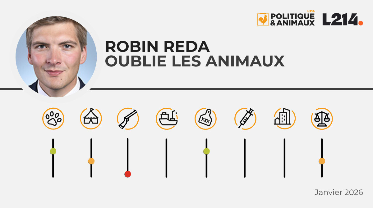 Robin Reda Politique And Animaux