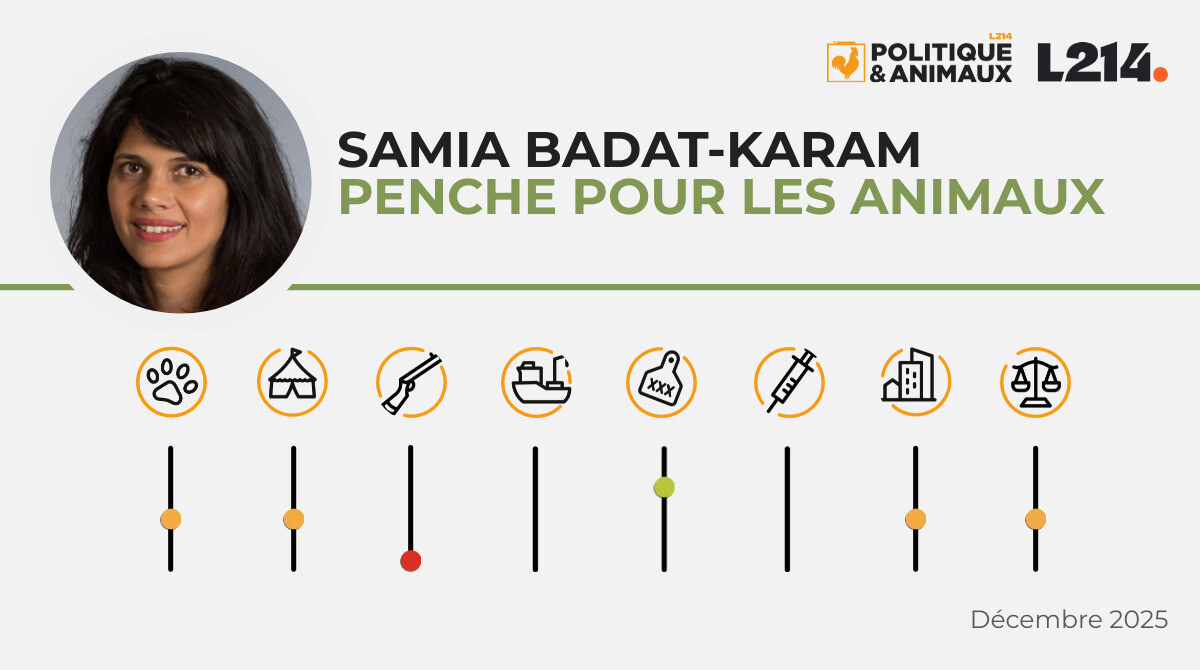 Samia Badat-Karam - Politique & Animaux