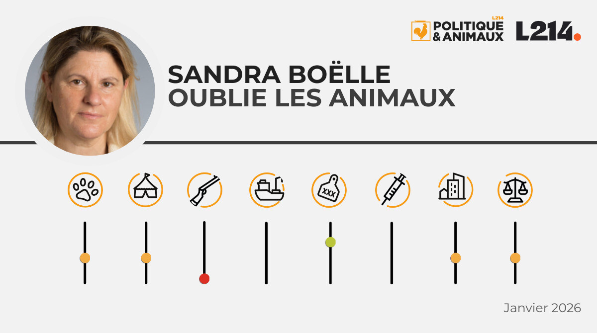 Sandra Boëlle - Politique & Animaux