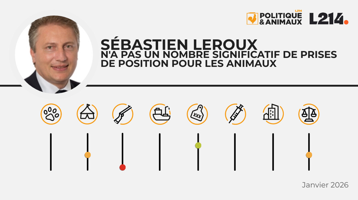 Sébastien Leroux - Politique & Animaux