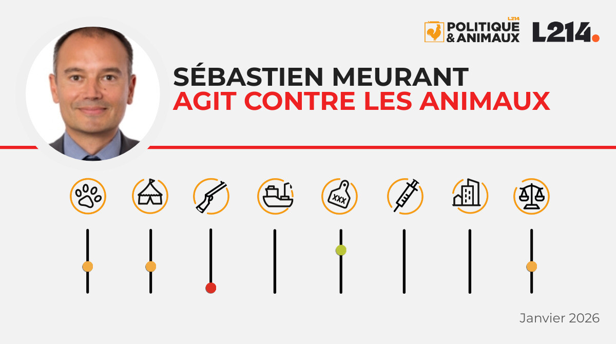 Sébastien Meurant - Politique & Animaux