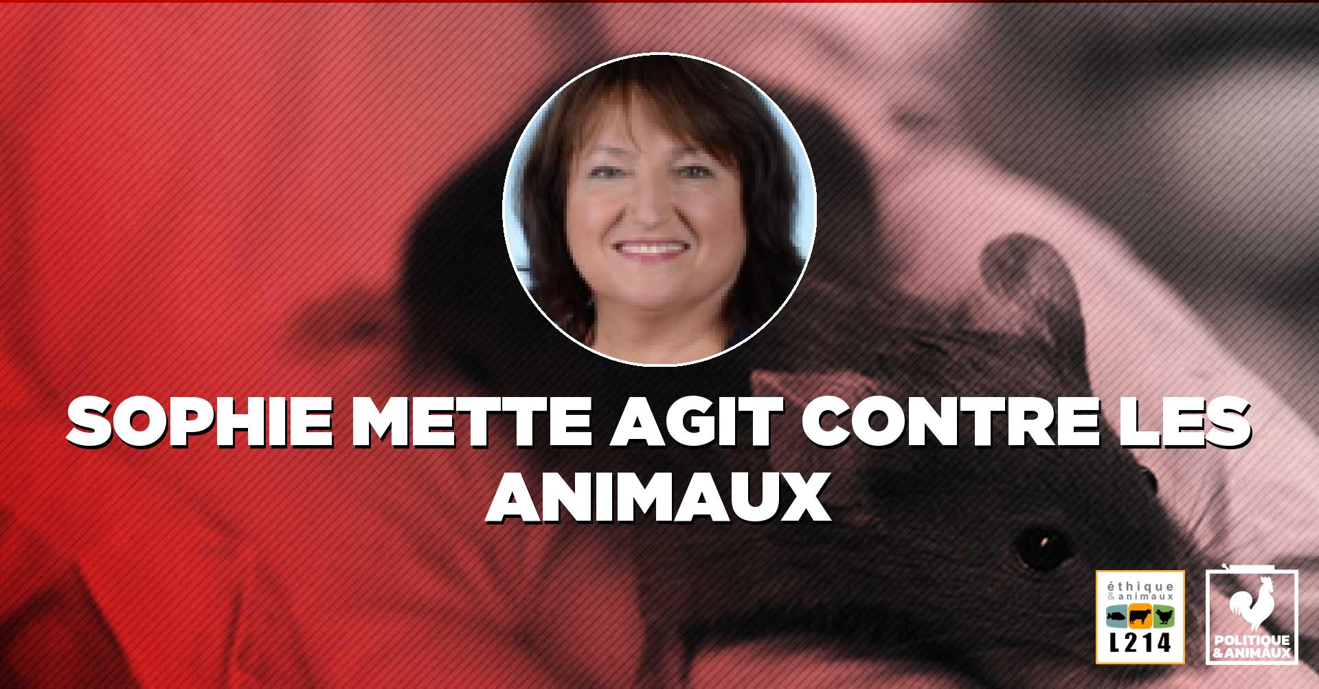 Sophie Mette - Politique & animaux