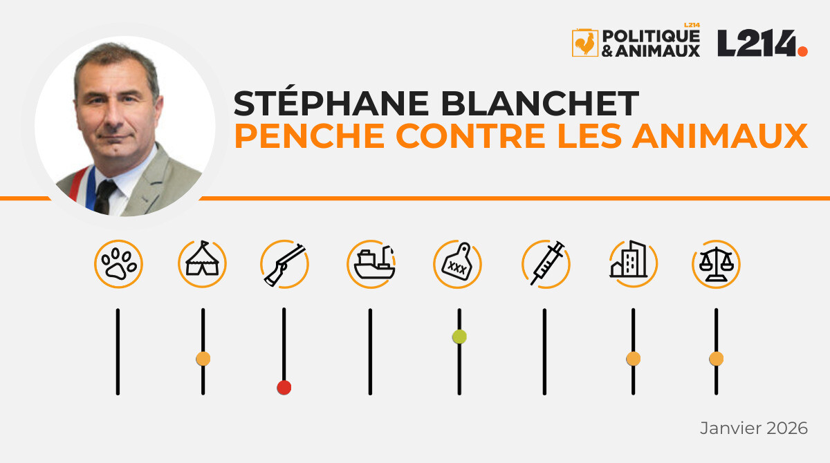 Stéphane Blanchet - Politique & Animaux