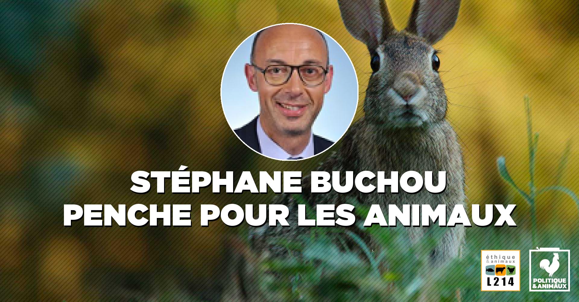 Stéphane Buchou - Politique & animaux