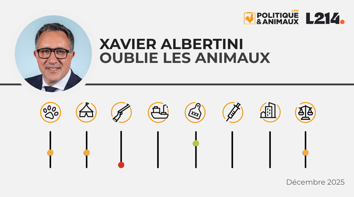 Xavier Albertini - Politique & Animaux