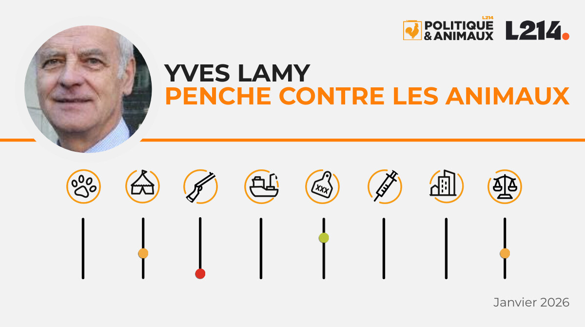 Yves Lamy - Politique & Animaux
