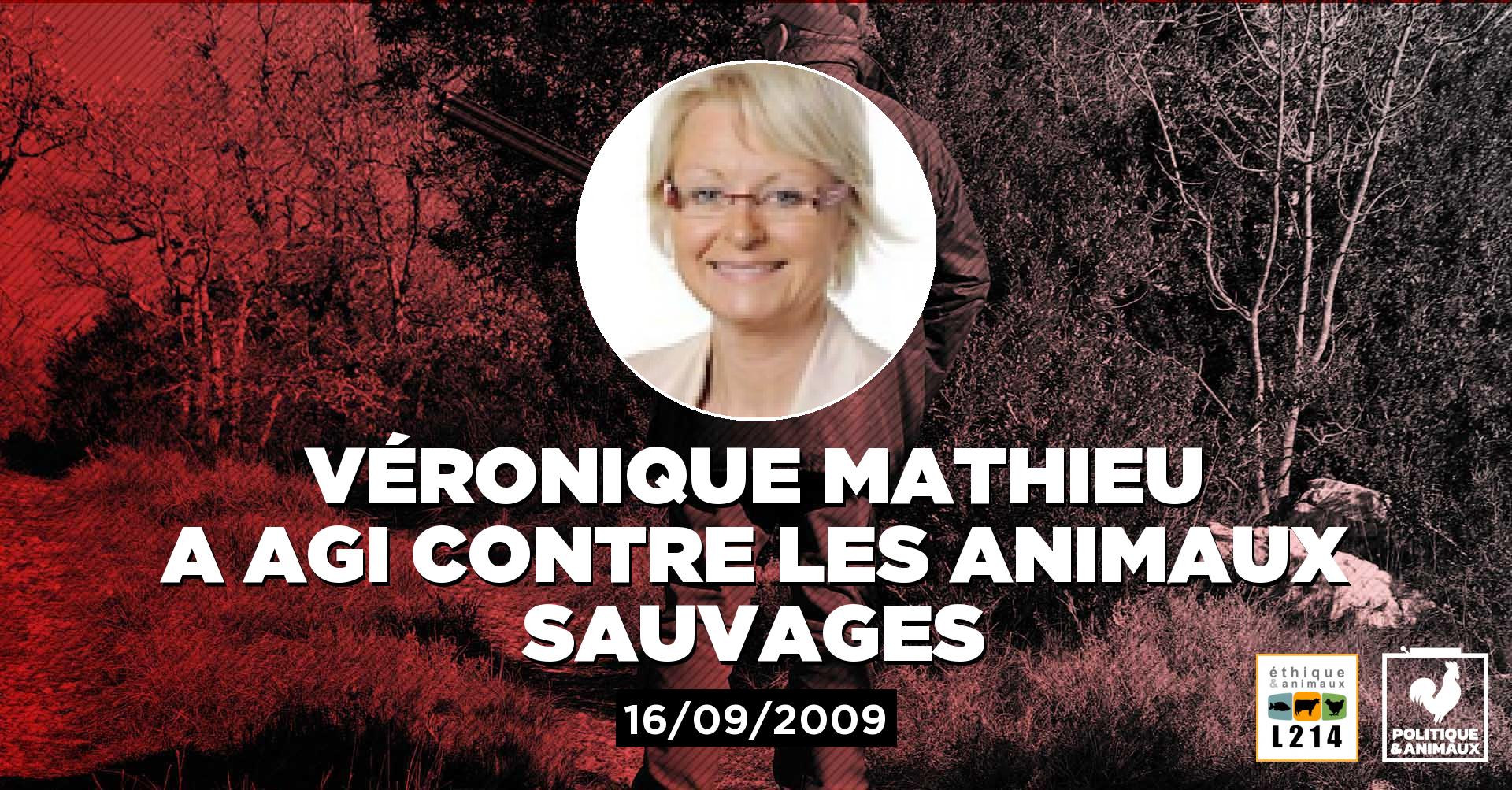 Véronique Mathieu, présidente de l'Intergroupe pour la chasse au ...