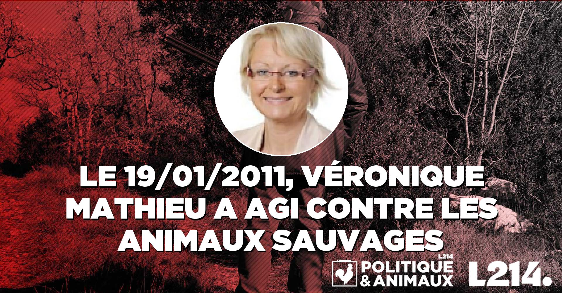 Véronique Mathieu exprime son amour de la chasse lors d'un colloque sur ...