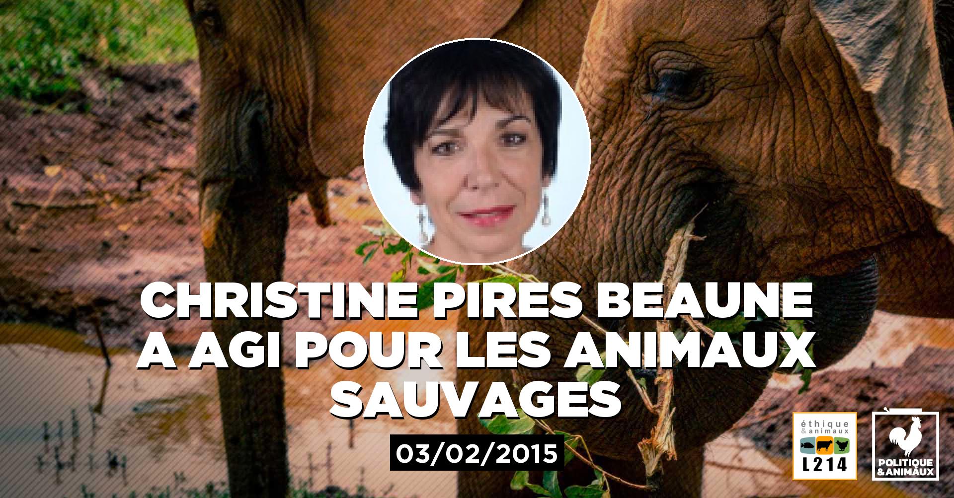 Christine Pires-Beaune souhaite interdire la vente et l'exportation d ...