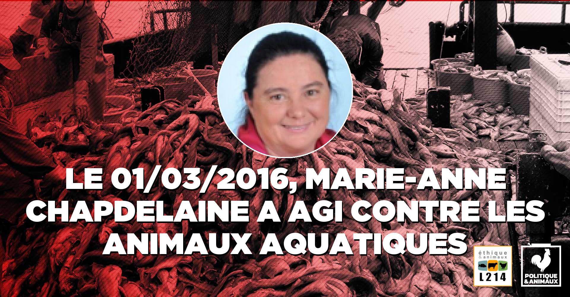 Marie-Anne Chapdelaine souhaite une augmentation des quotas de pêche ...