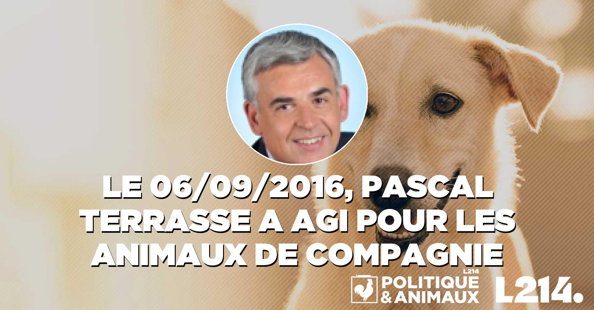 Pascal Terrasse demande des mesures contre la vente de chiots et ...