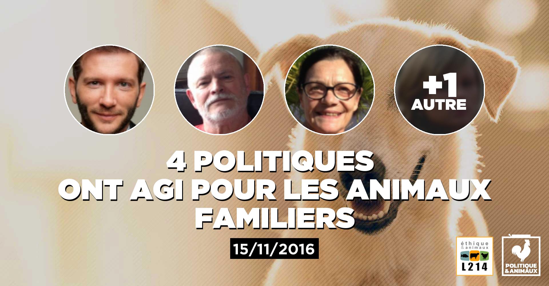 Renforcement de la lutte contre le trafic d'animaux - Politique & Animaux Renforcement de la lutte contre le trafic d'animaux - Politique & Animaux
