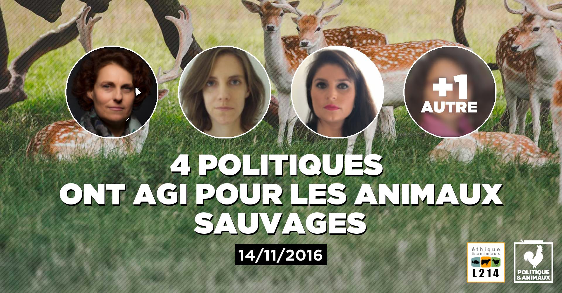 Le Parti animaliste veut instaurer les mercredis et les dimanches sans ...