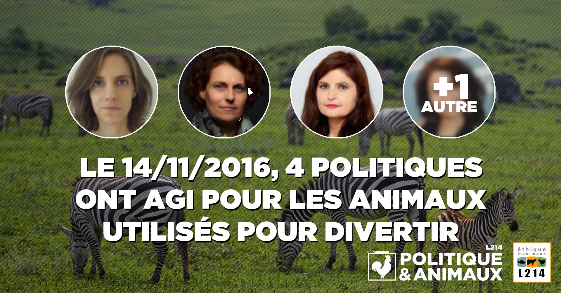 Le Parti animaliste veut abolir la corrida et les combats de coqs ...