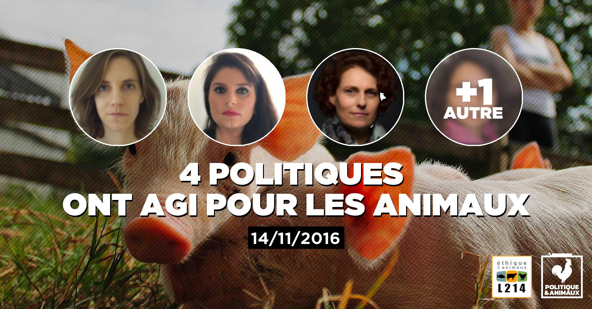 Le Parti animaliste veut adosser à la Constitution française une Charte ...
