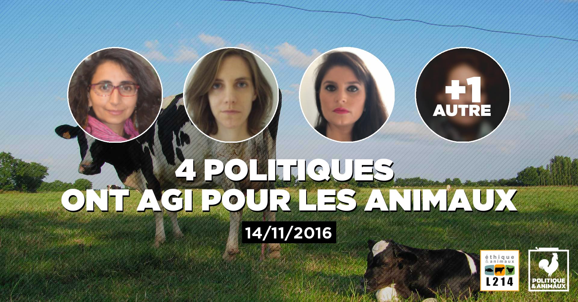 Le Parti animaliste veut créer un Ministère de la Protection animale ...