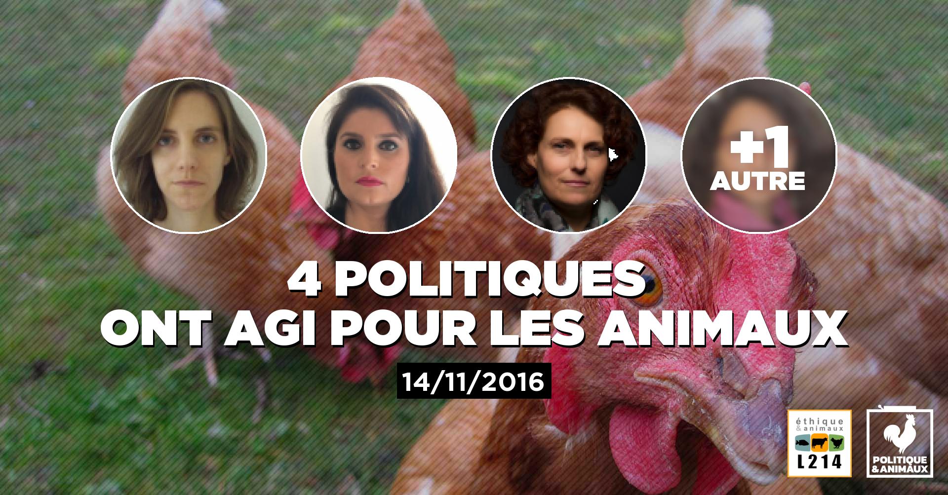 Le Parti animaliste veut réintégrer l’enseignement du respect des ...