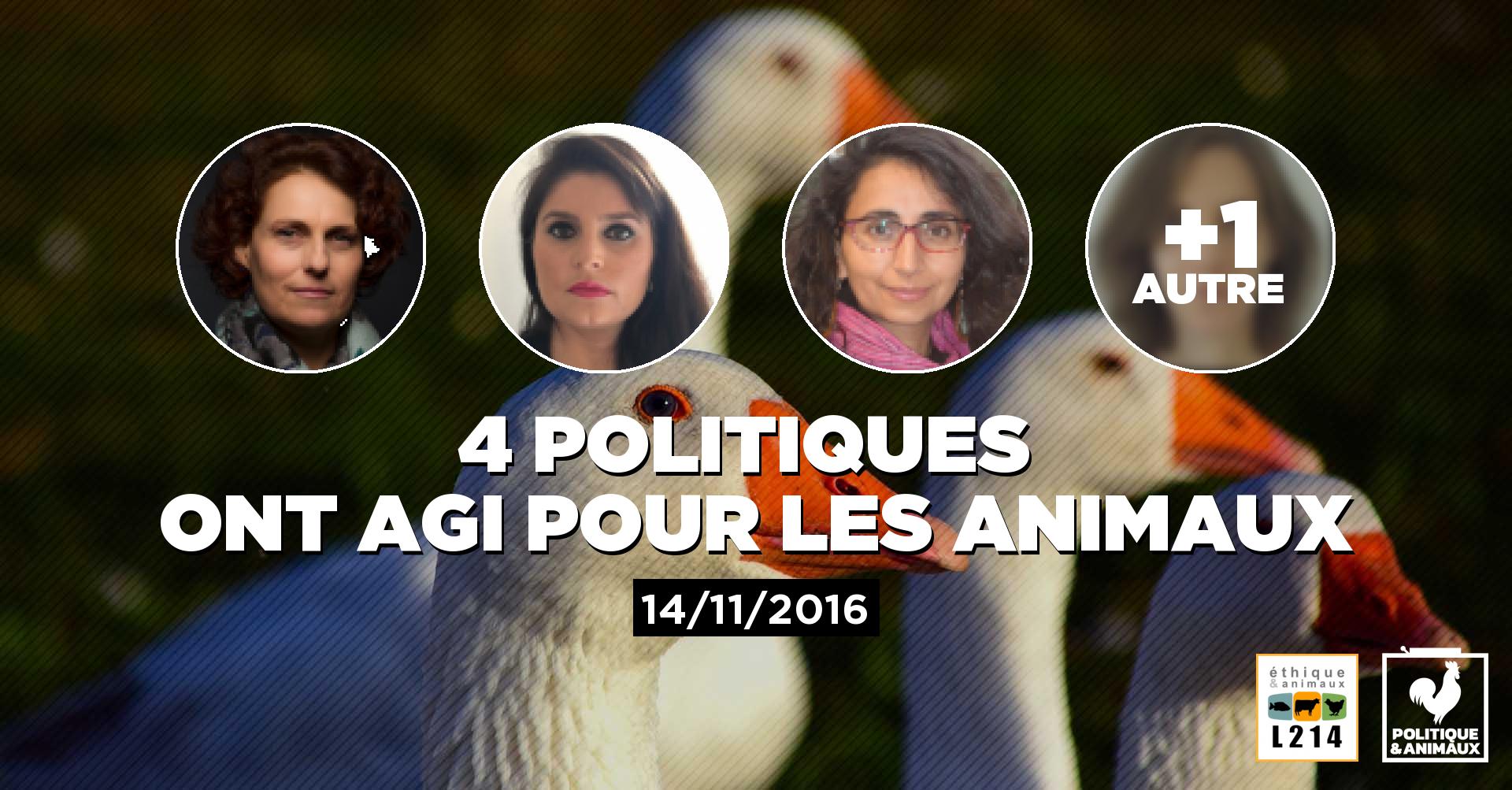 Le Parti animaliste veut abolir le gavage - Politique & Animaux