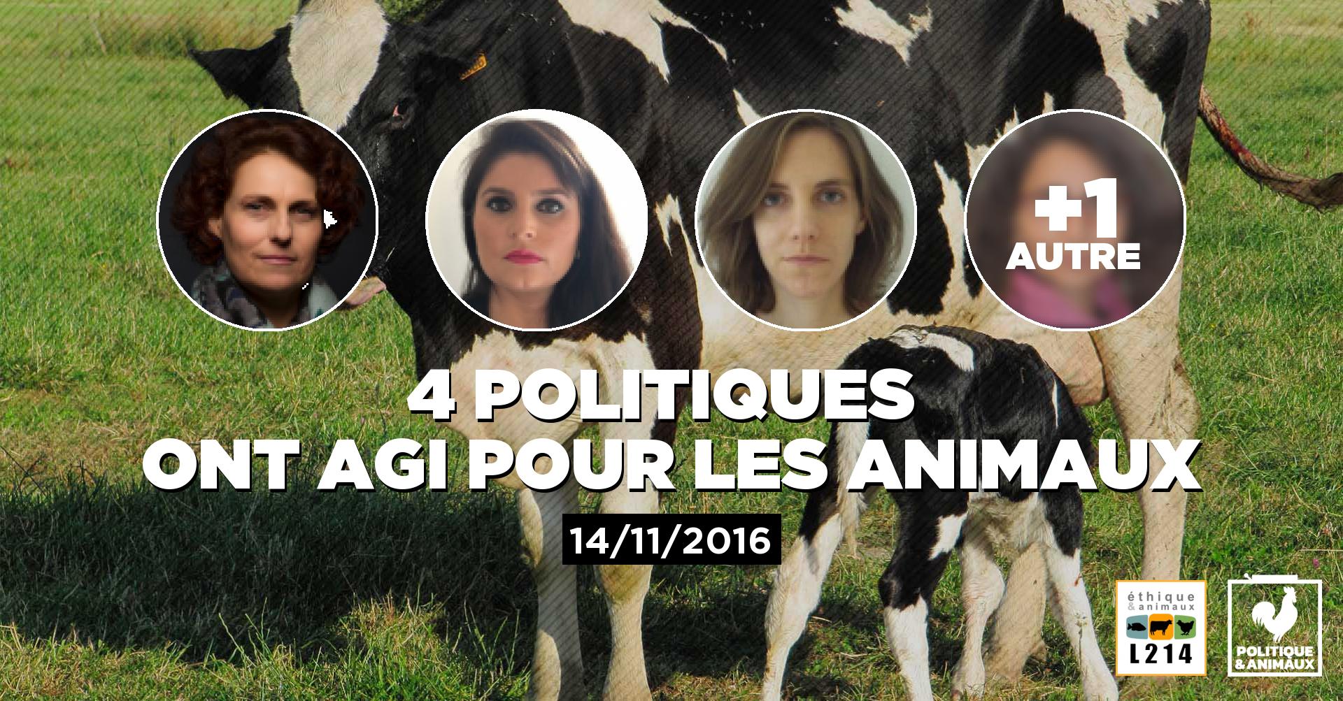 Le Parti animaliste veut interdire les exportations d’animaux vivants ...
