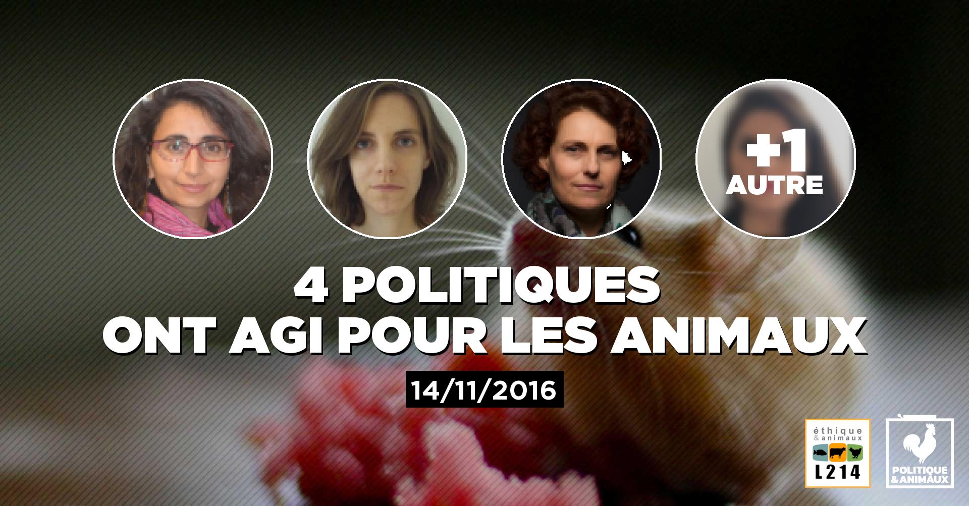 Le Parti animaliste veut améliorer la protection des animaux utilisés à ...