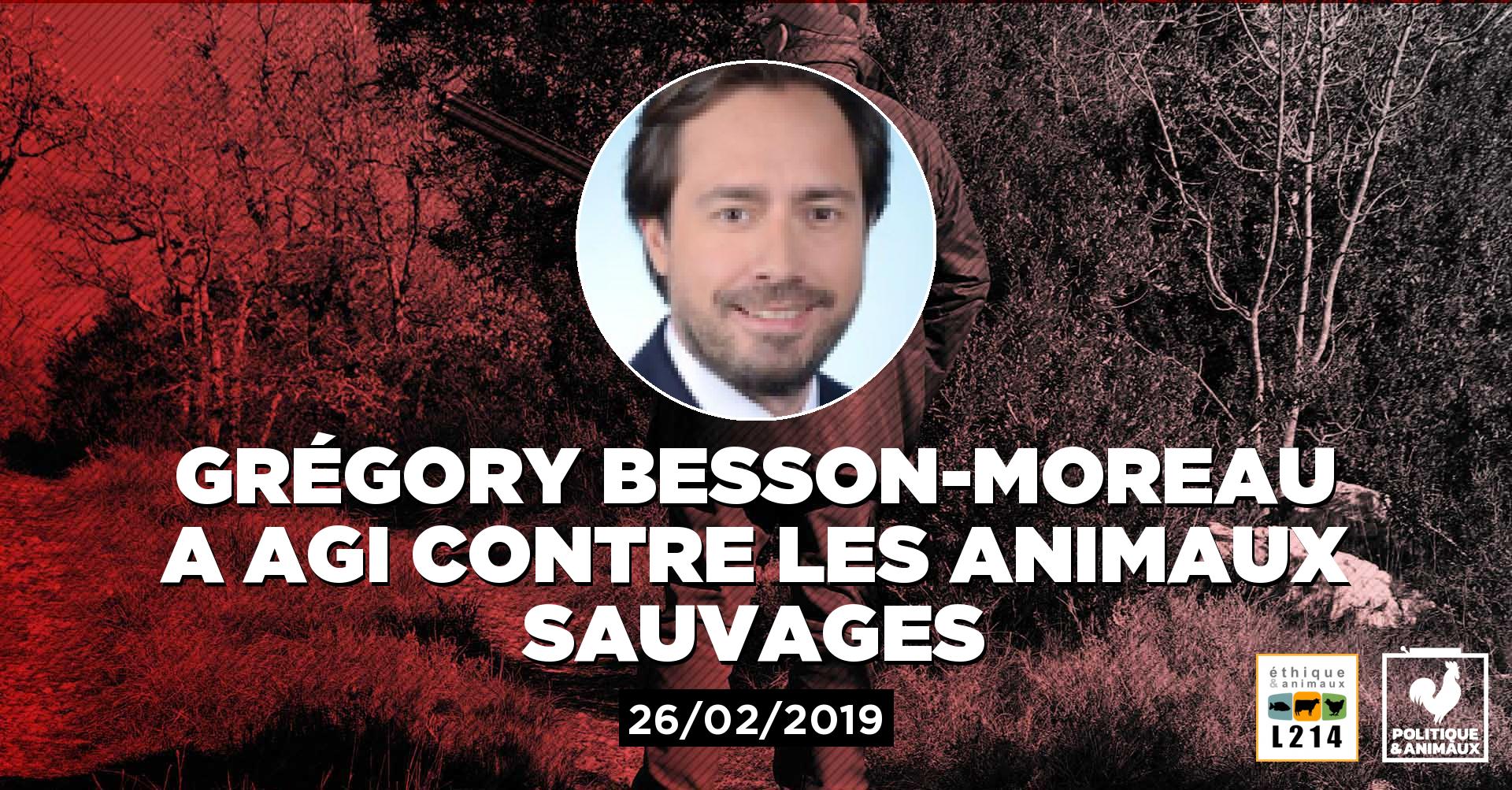 Pour le député Grégory Besson-Moreau «la chasse doit être protégée par ...