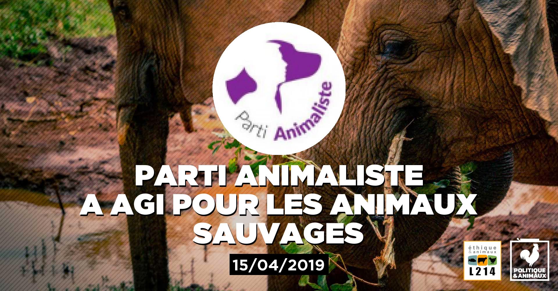 Européennes 2019 : le Parti animaliste veut une interdiction totale du ...
