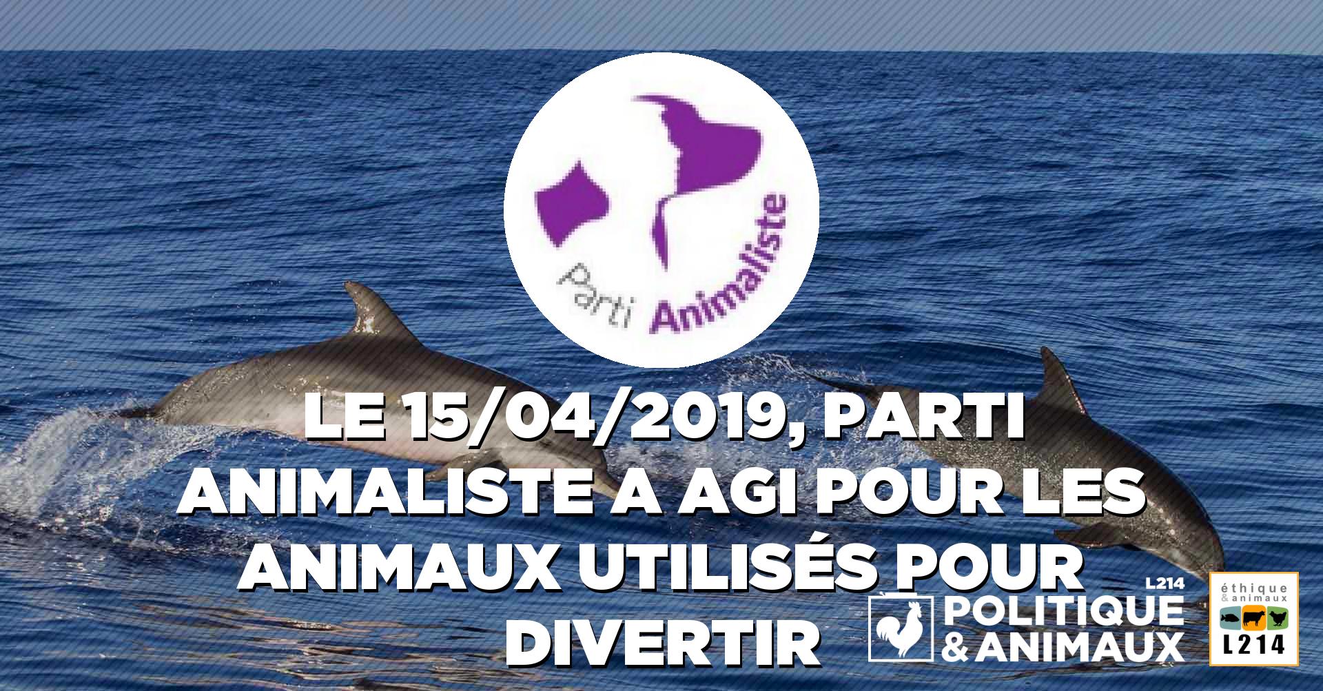 Européennes 2019 : le Parti animaliste veut abolir la détention des ...