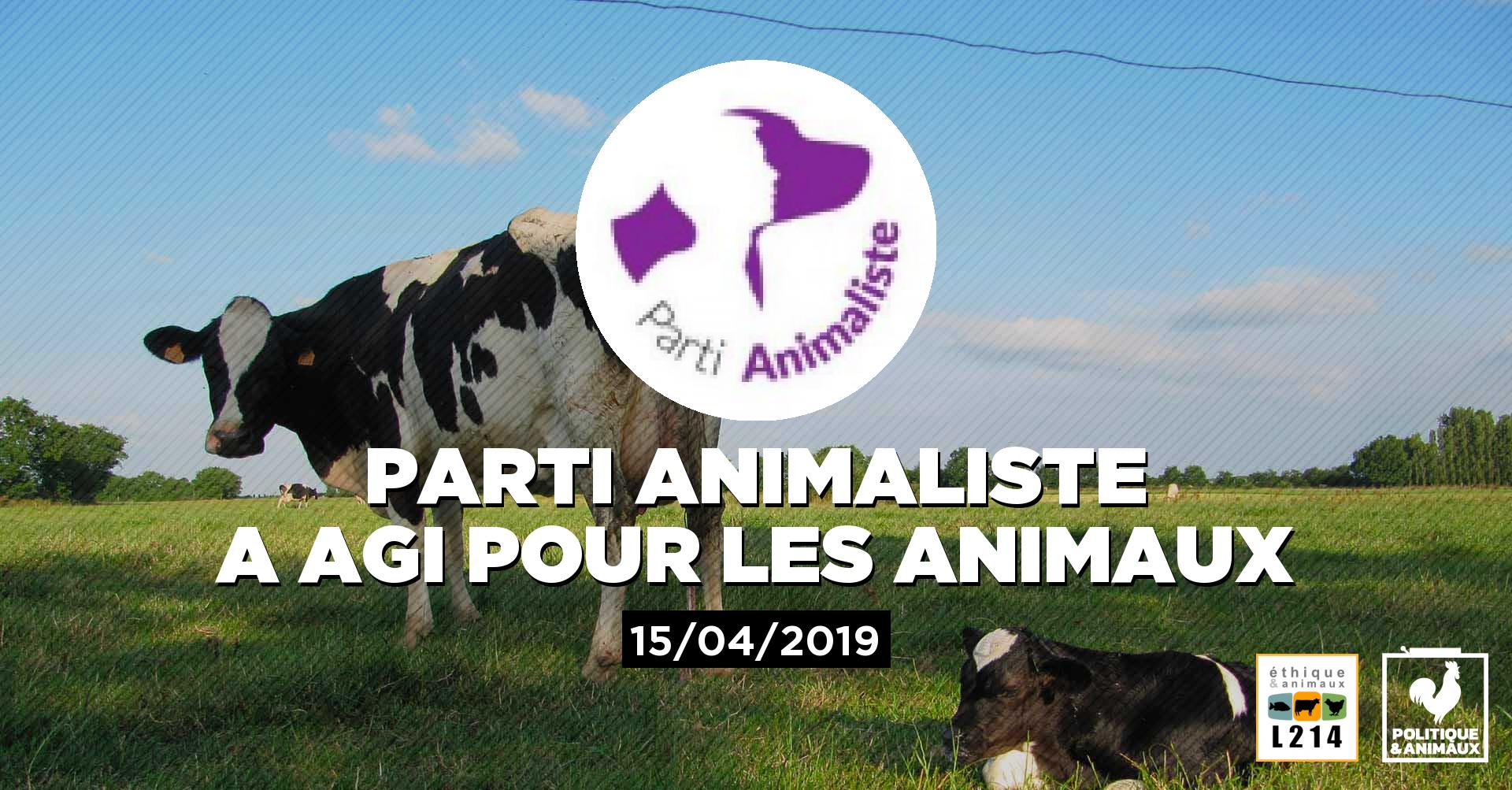 Européennes 2019 : le Parti animaliste veut inciter la Commission ...