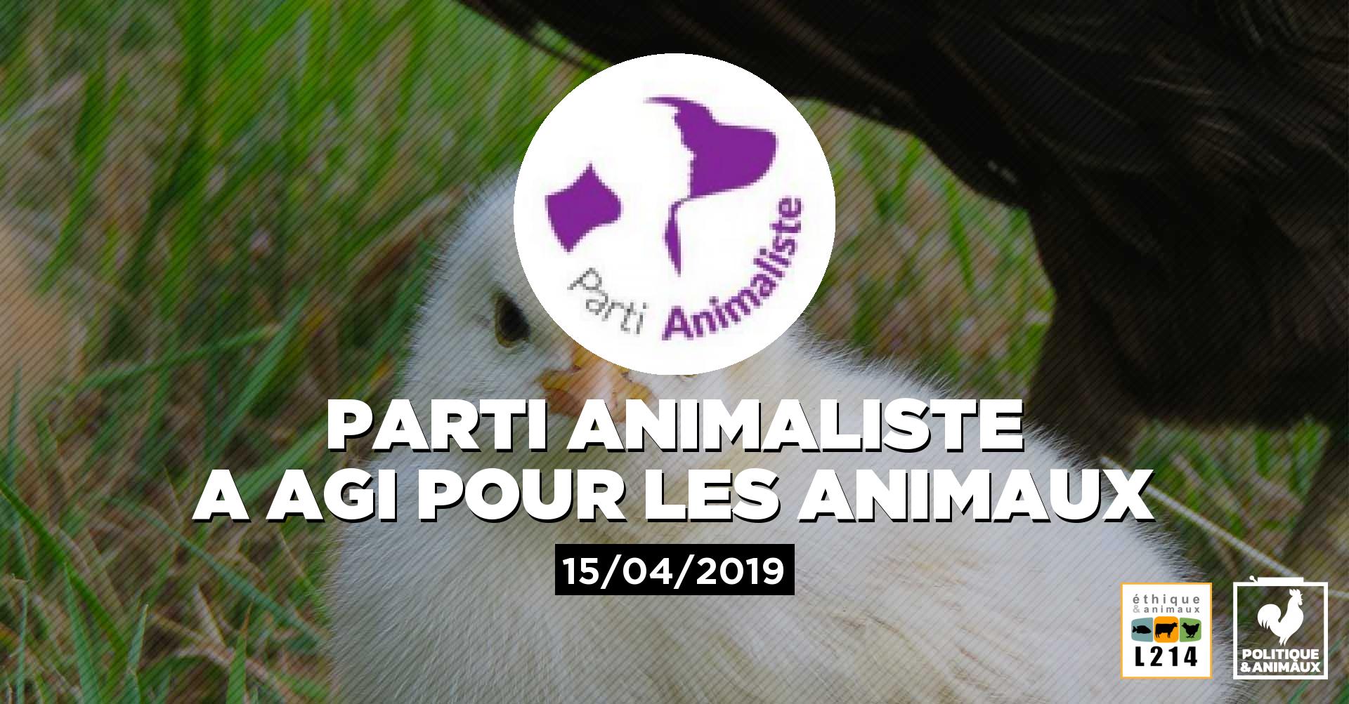 Européennes 2019 : le Parti animaliste veut améliorer les conditions d ...