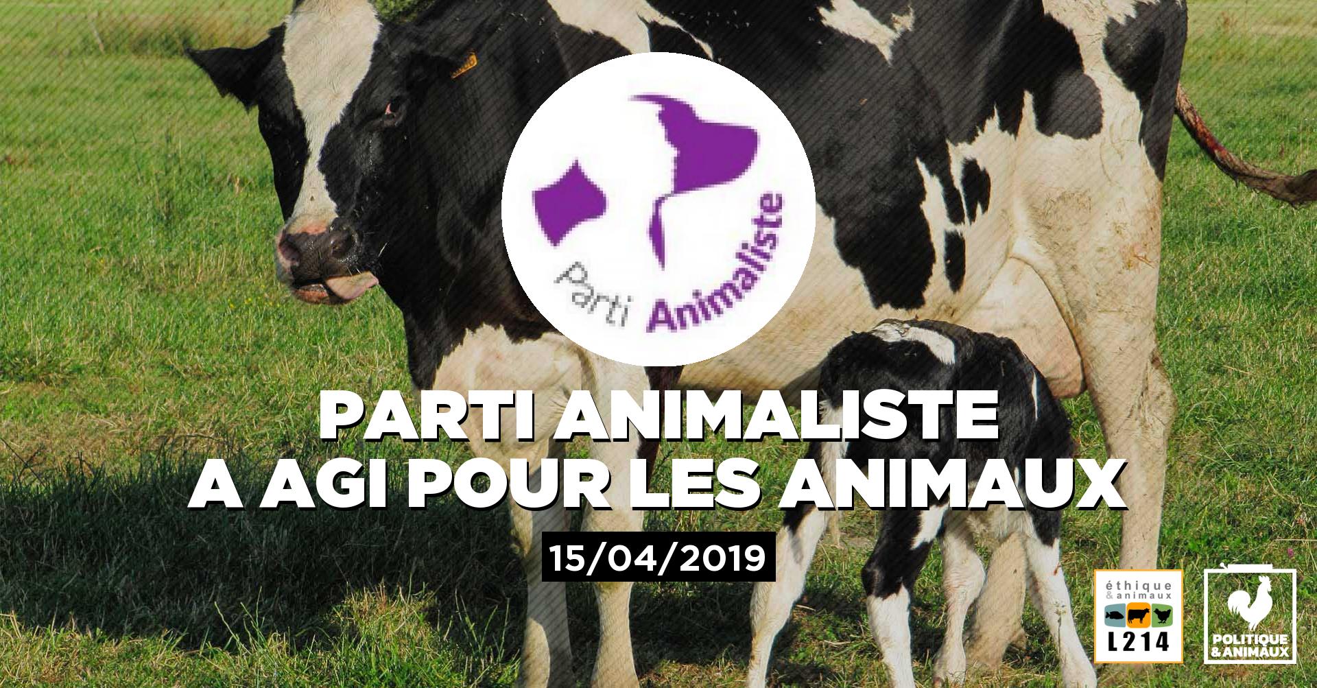 Européennes 2019 : le Parti animaliste veut mettre fin à l’exportation ...