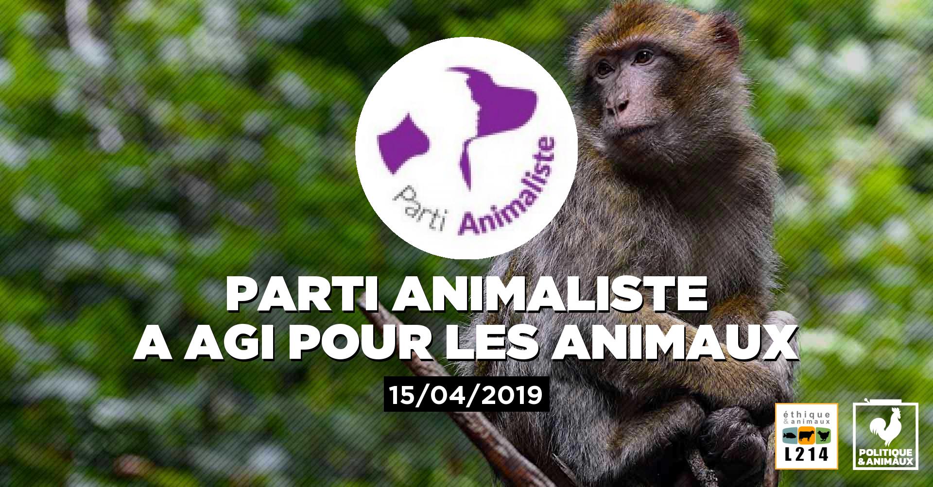 Européennes 2019 : le Parti animaliste veut interdire l’utilisation des ...