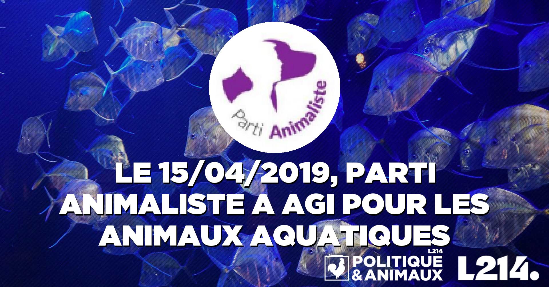 Européennes 2019 : le Parti animaliste veut interdire l’ébouillantage ...