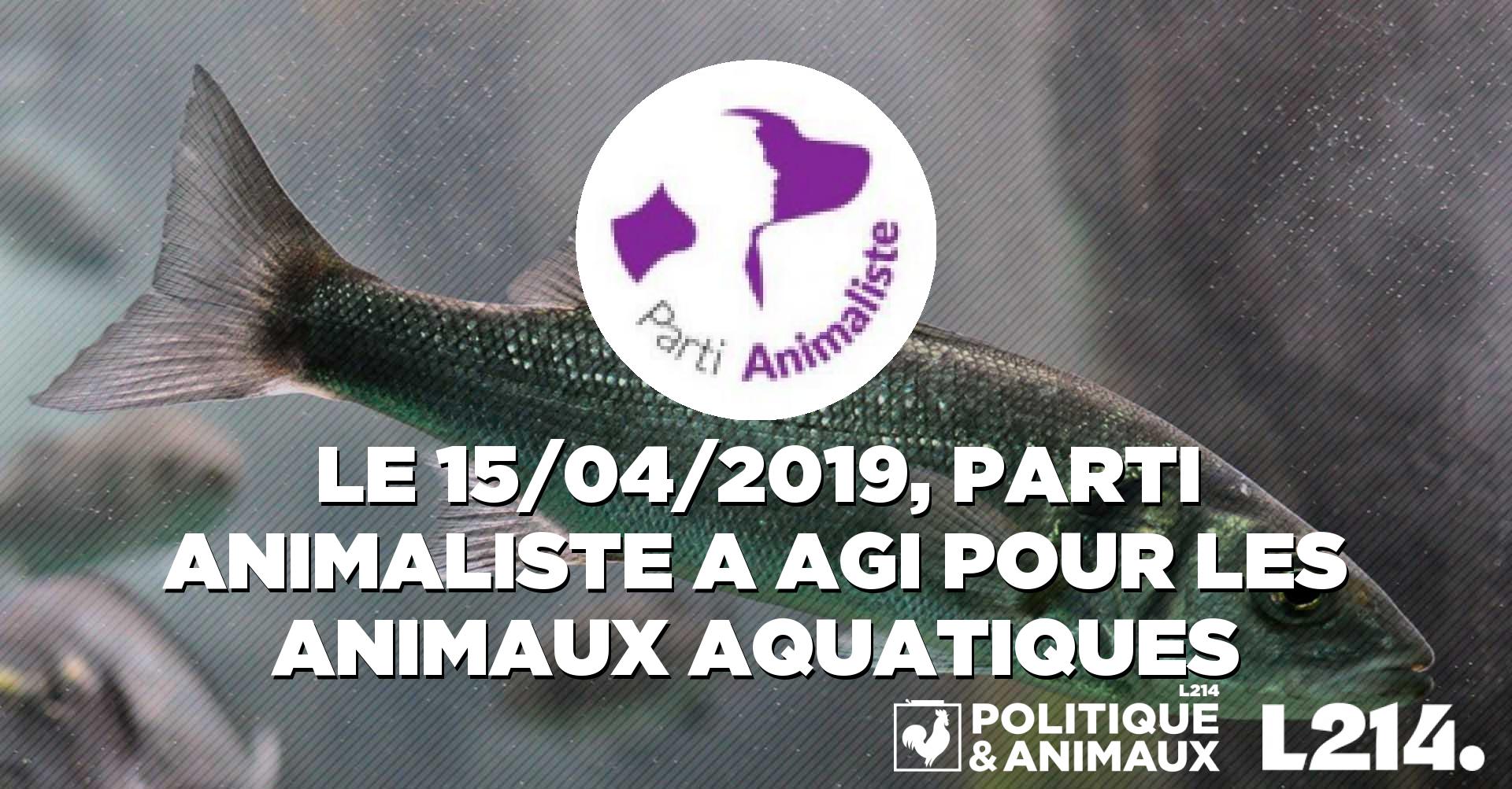 Européennes 2019 : le Parti animaliste veut mettre en place un ...